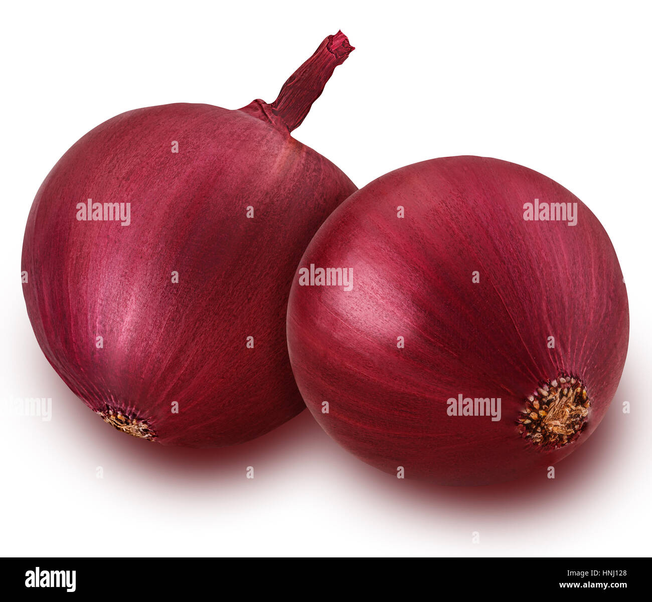 two bulb red onion cut set isolated on white background clipping path ...