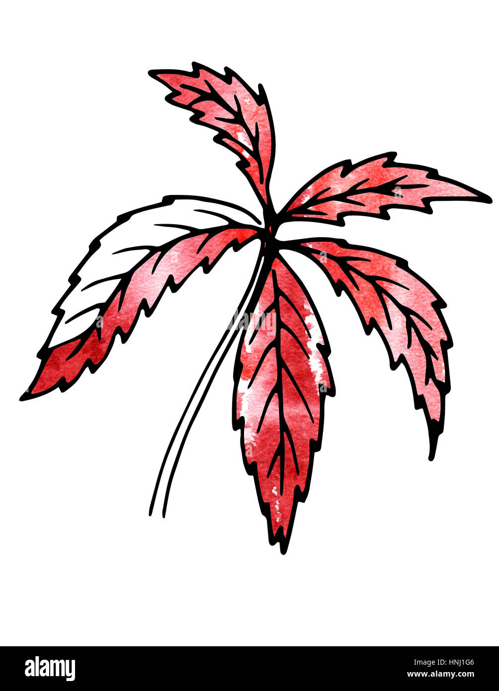 Red Plant leaves. Hand drawing and computer processing. For design ...