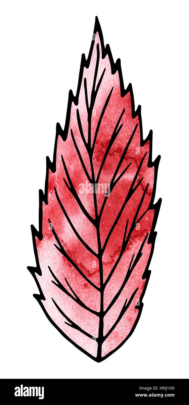 Red Plant leaves. Hand drawing and computer processing. For design ...