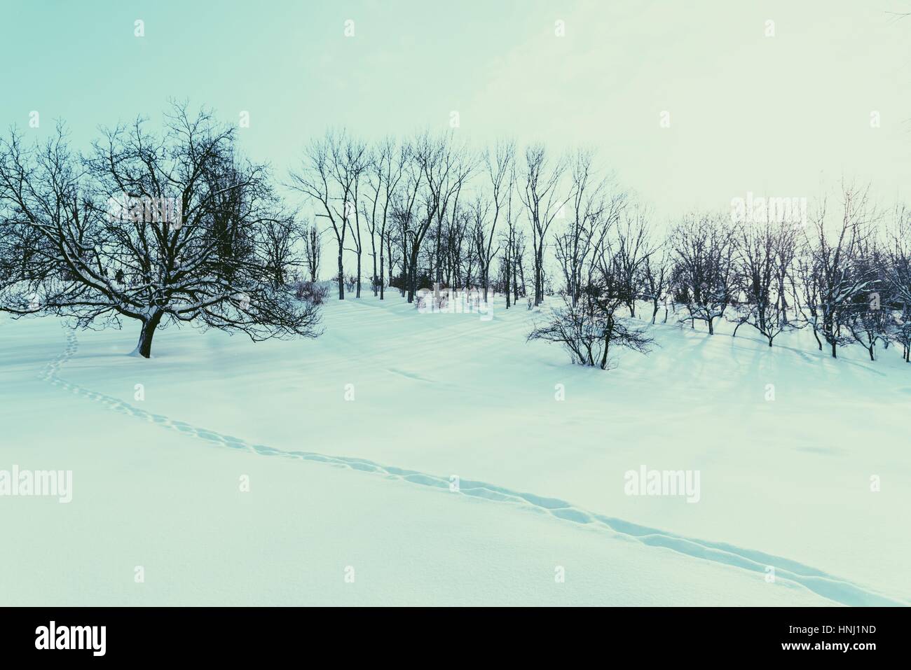 Beautiful winter landscape sunshine hi-res stock photography and images ...