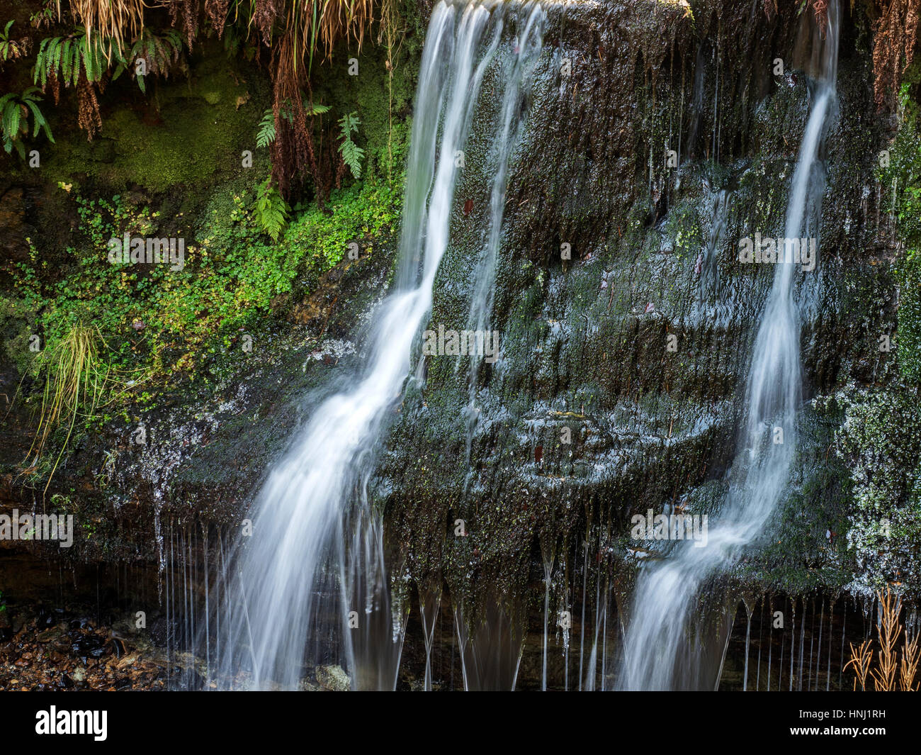 Waterfall in Maspie Den on the Falkland Estate Falkland Fife Scotland ...