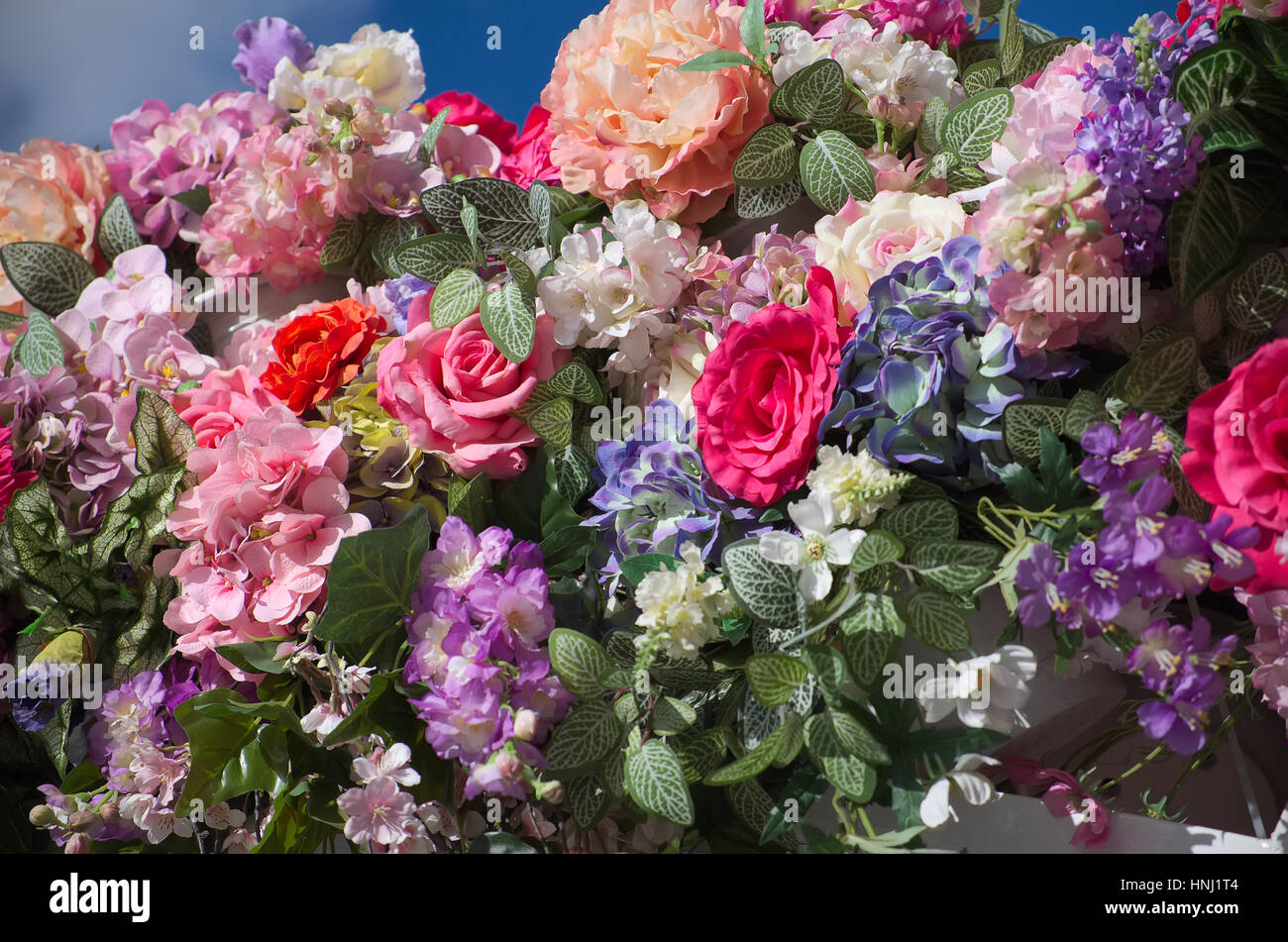 Freesia bunch hi-res stock photography and images - Alamy