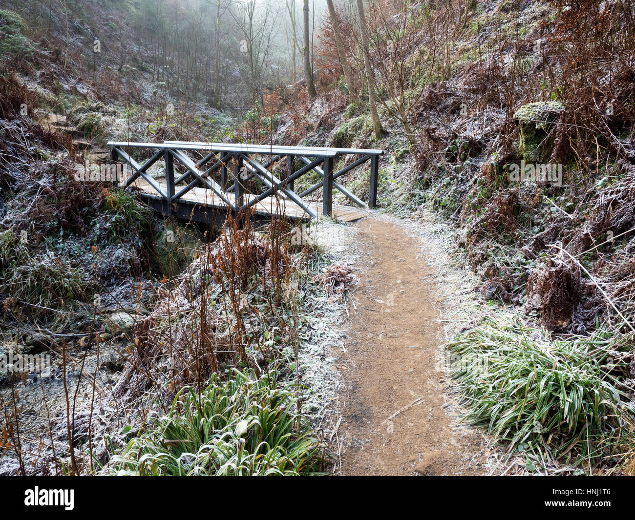 Footbridge over Maspie Burn in Maspie Den on a Frosty Winbter Day ...