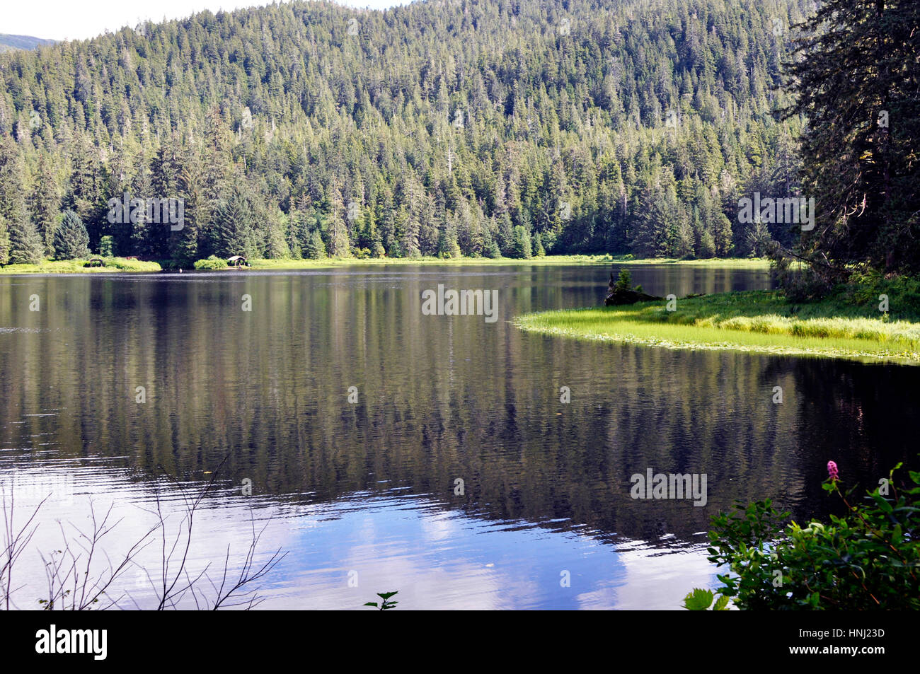 Ward cove hi-res stock photography and images - Alamy