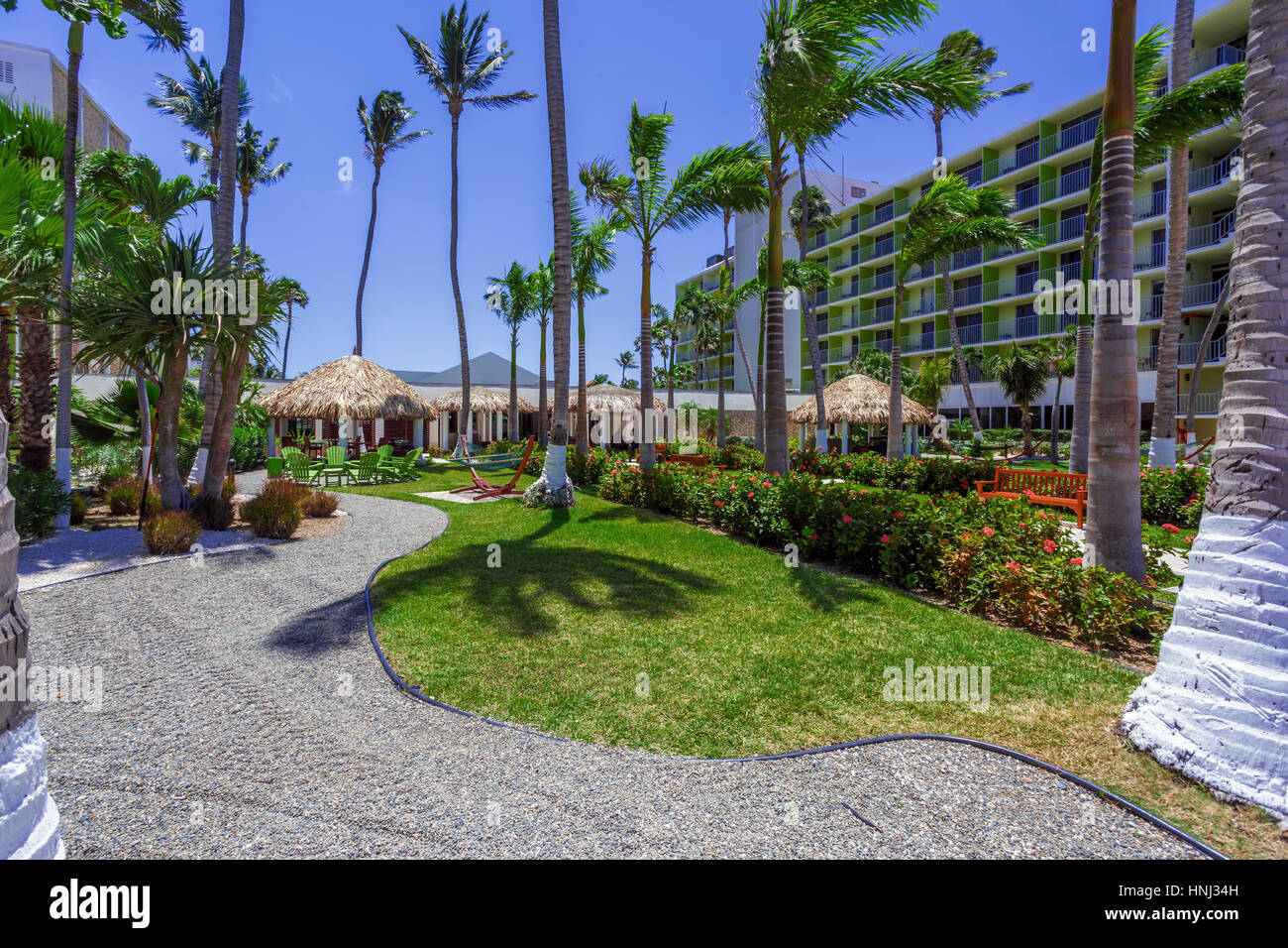 Walking path with palm trees at tropical beach in Aruba Stock Photo - Alamy
