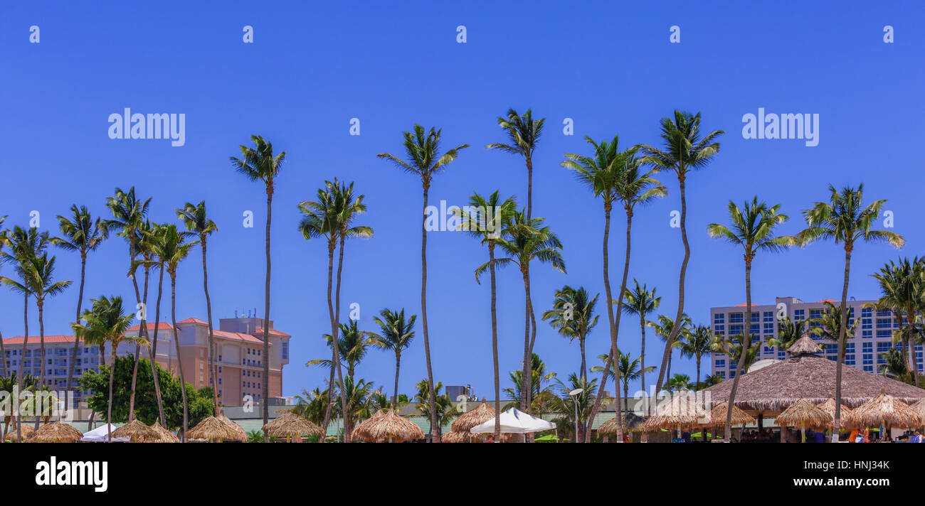 Palm Beach at Aruba. View from sea side Stock Photo - Alamy