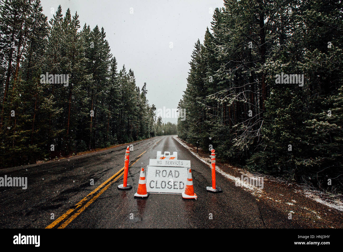 Road closed sign amidst trees against sky Stock Photo - Alamy