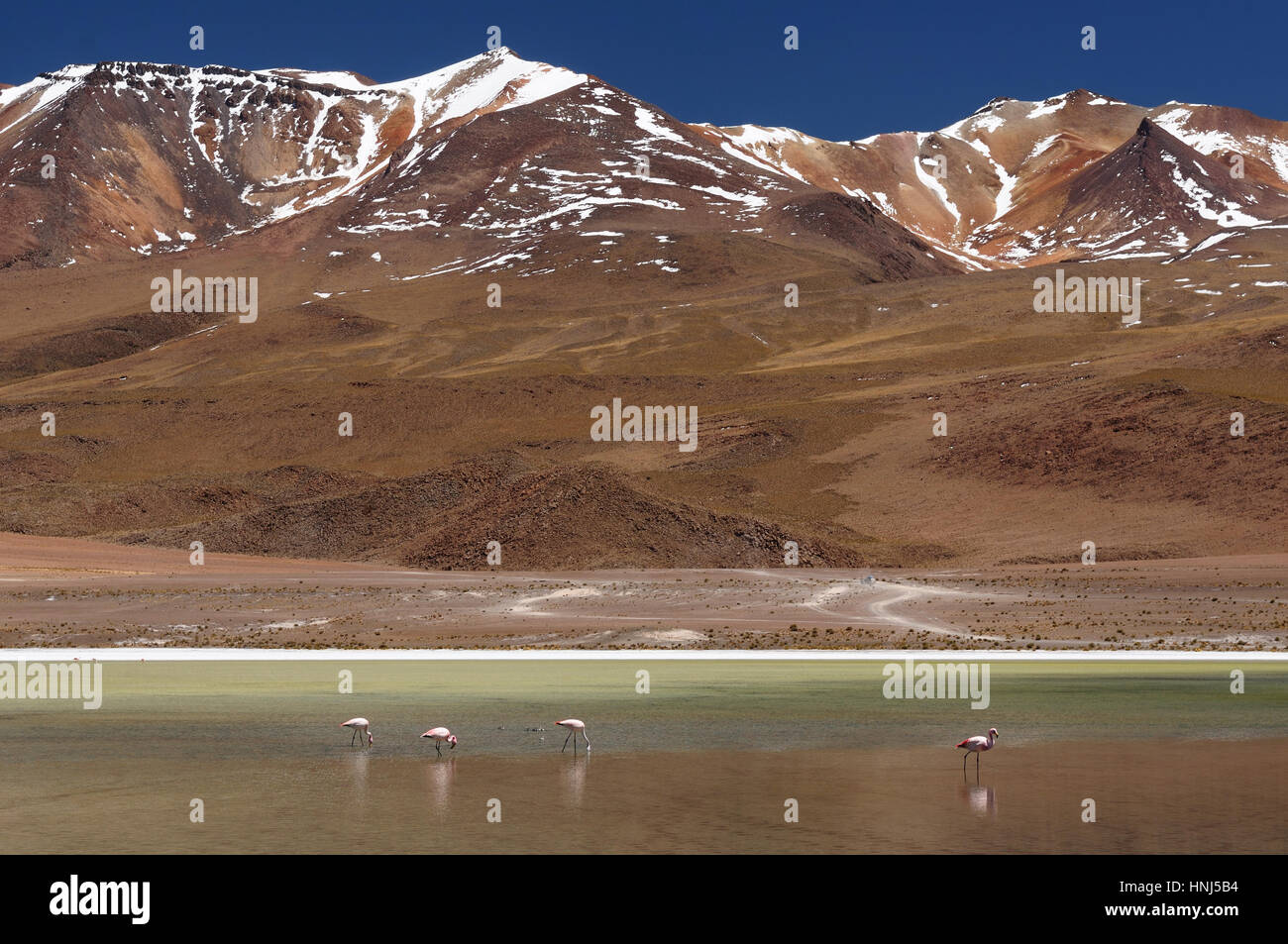 Beautiful scenery bolivia hi-res stock photography and images - Alamy