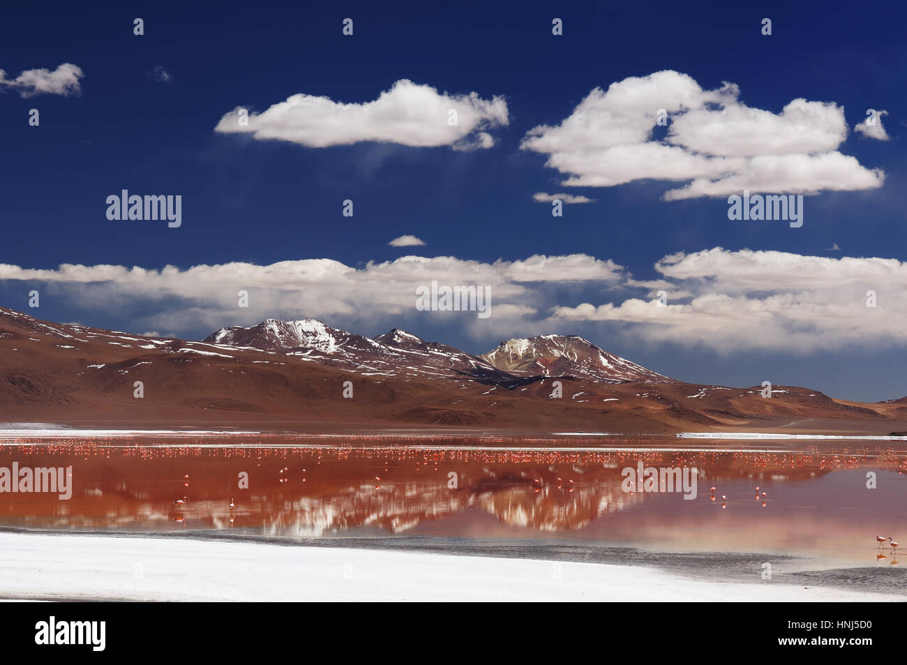 Beautiful scenery bolivia hi-res stock photography and images - Alamy