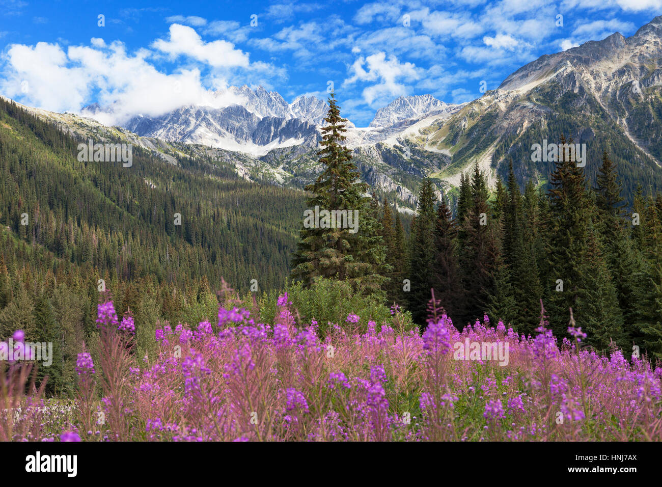 Rogers Pass British Columbia Canada Stock Photo - Alamy