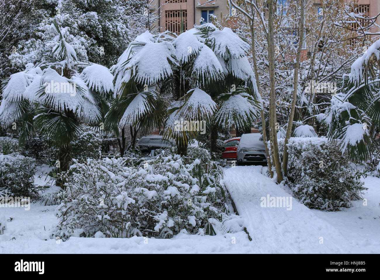 Subtropical winter hi-res stock photography and images - Alamy