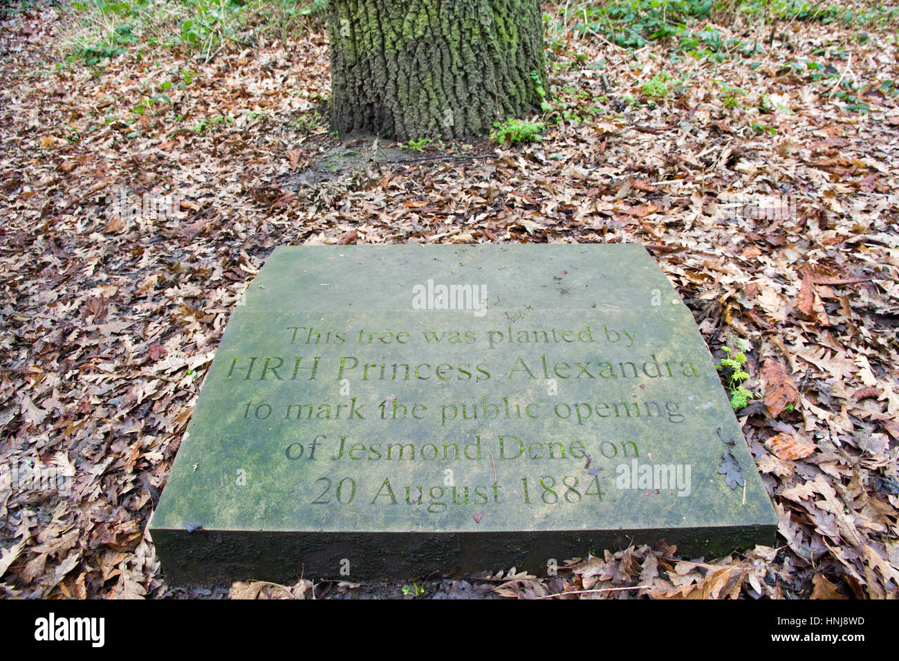 Jesmond dene park hi-res stock photography and images - Alamy
