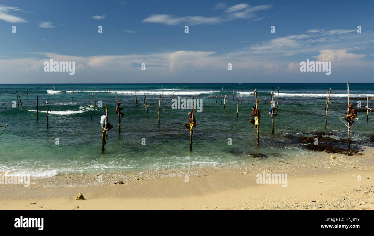 GALLE, SRI LANKA - MARCH 02:Fishermen on stilts trying to catch a fish ...