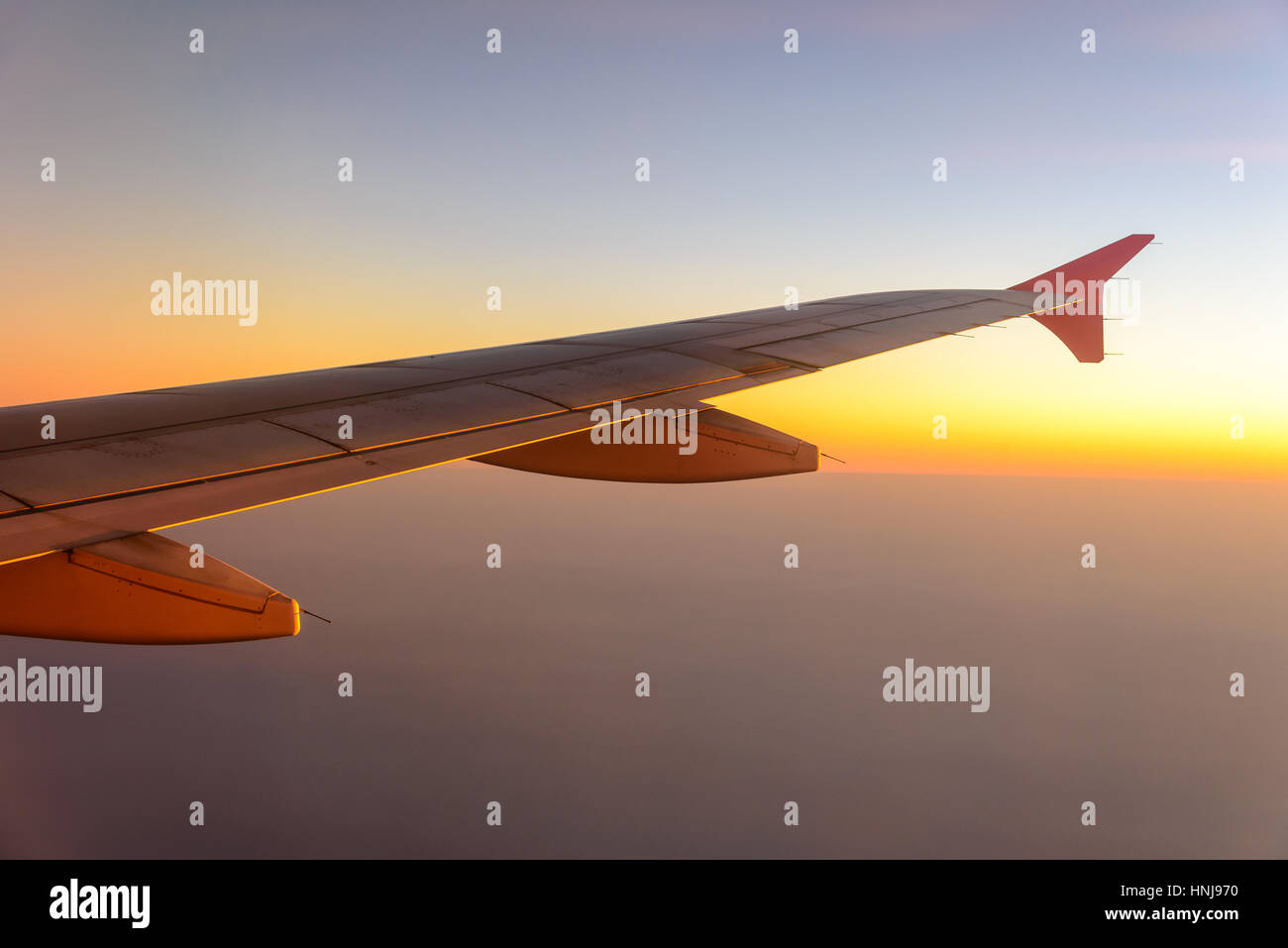 Flap of wing hi-res stock photography and images - Alamy