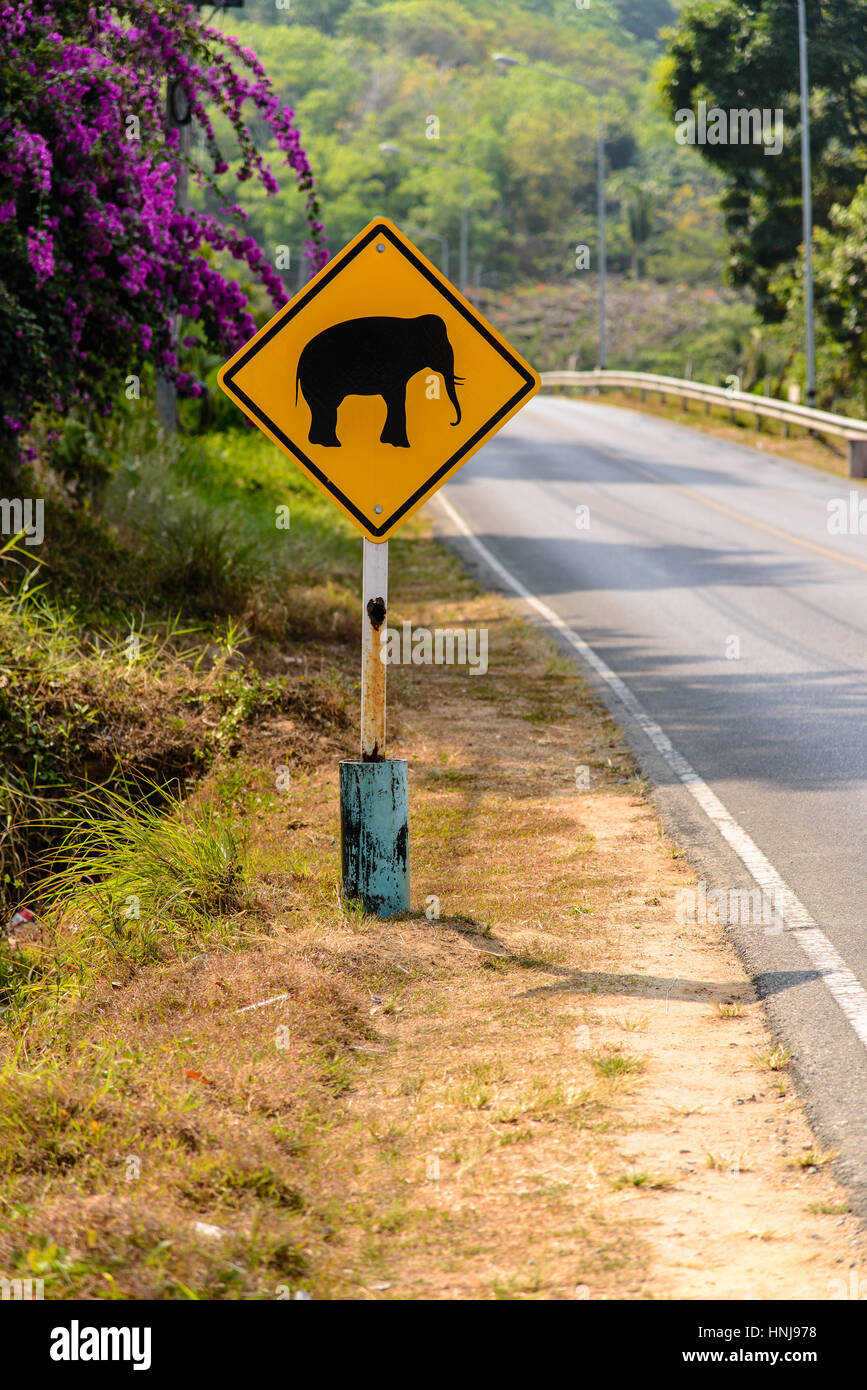 Elephant road sign hi-res stock photography and images - Alamy