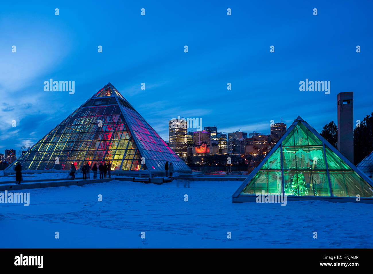 Edmonton skyline and illuminated Muttart Conservatory pyramids, a ...