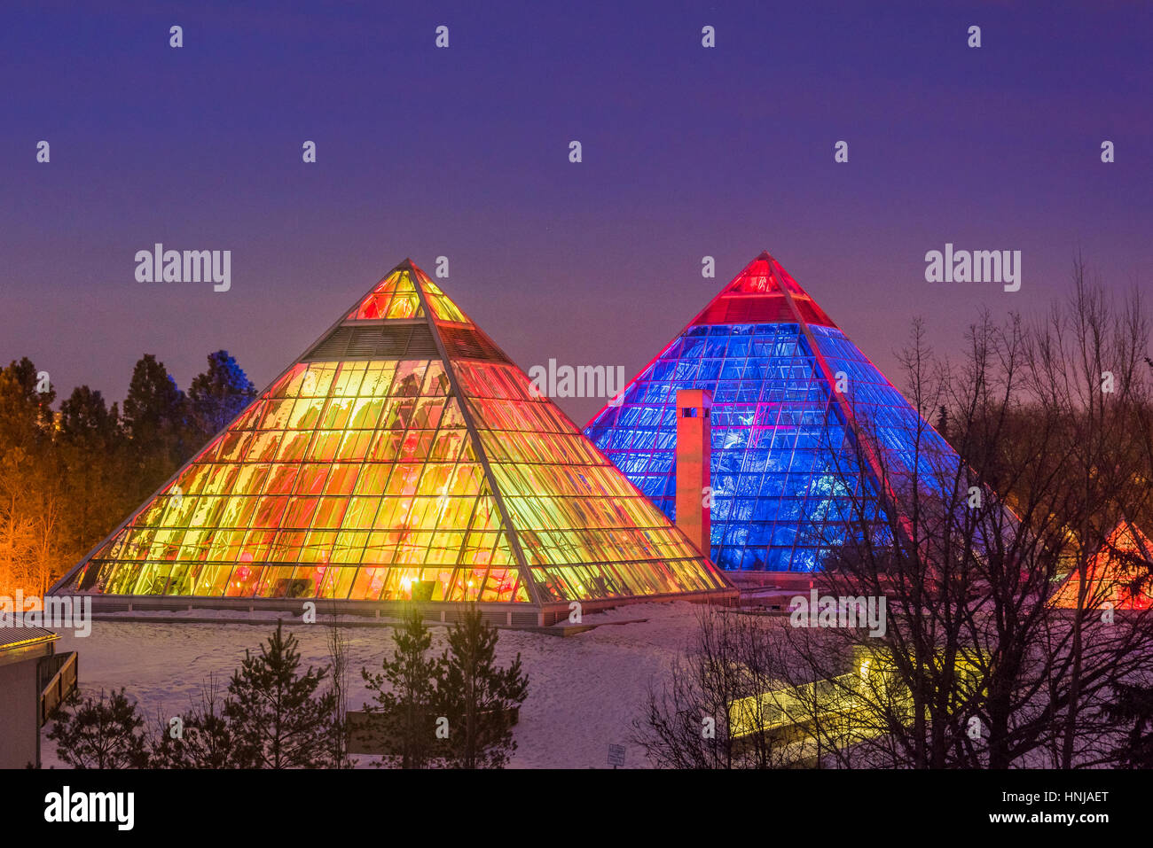 Illuminated Muttart Conservatory pyramids, a Botanical Garden in ...