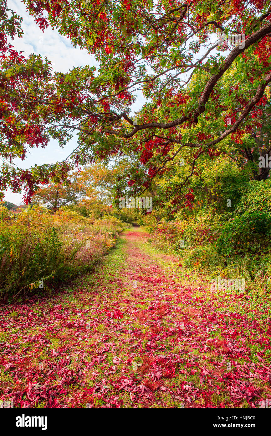 Colorful trail path hi-res stock photography and images - Alamy