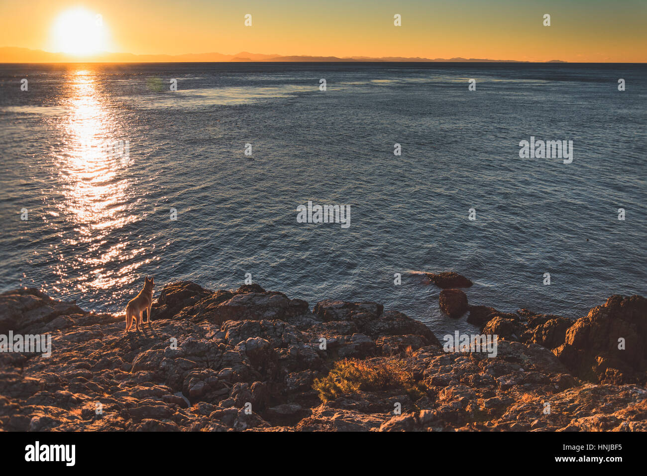 Sunset view from East Sooke coastal hiking trail Stock Photo - Alamy