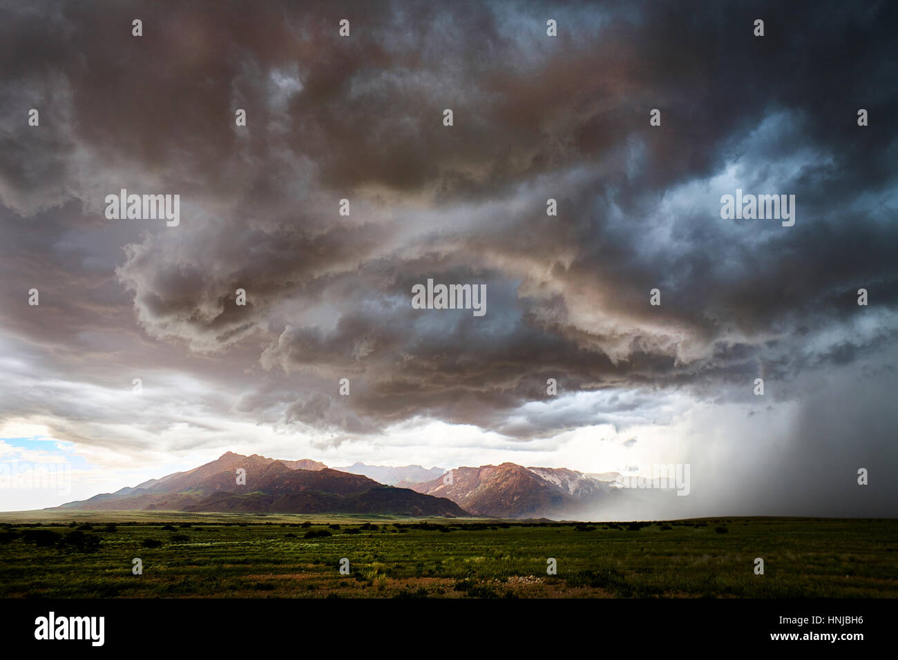 Bush storm hi-res stock photography and images - Alamy