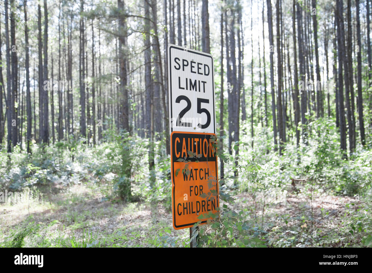 Speed limit and caution signs posted near a forest Stock Photo - Alamy