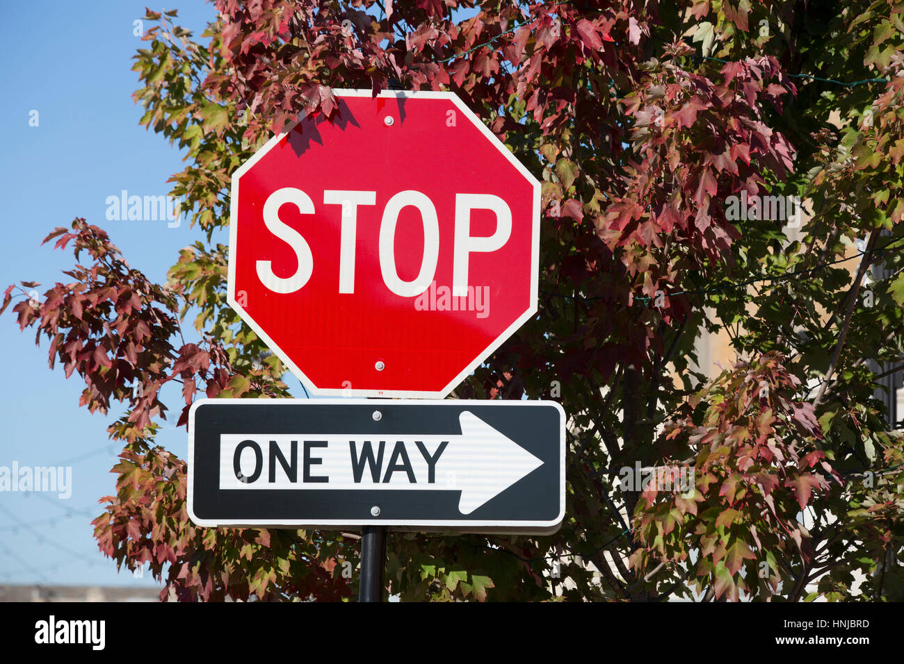 Stop sign and one way sign against a tree in the autumn Stock Photo - Alamy