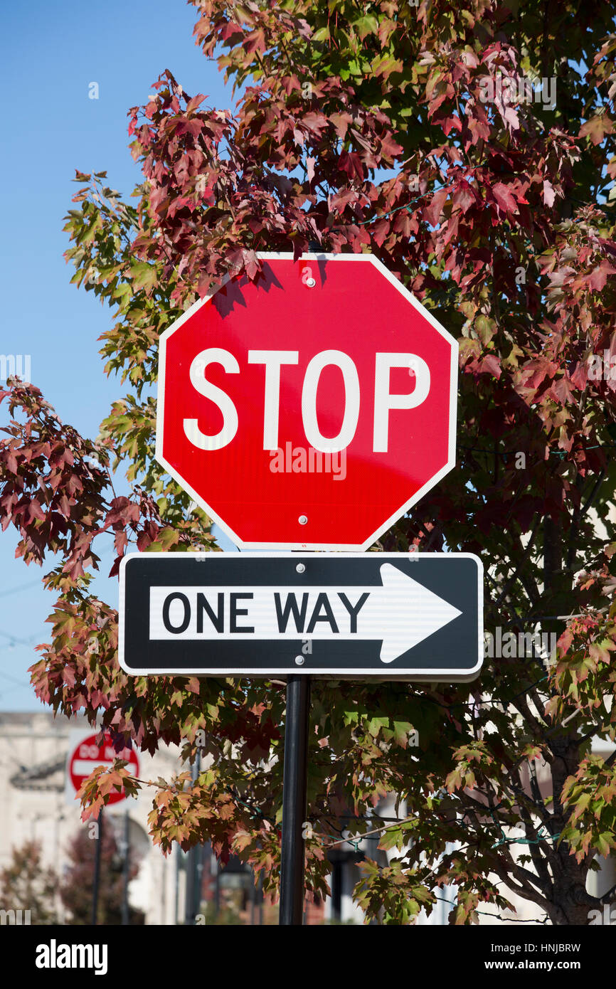 Stop sign and one way sign against a tree in the autumn Stock Photo - Alamy