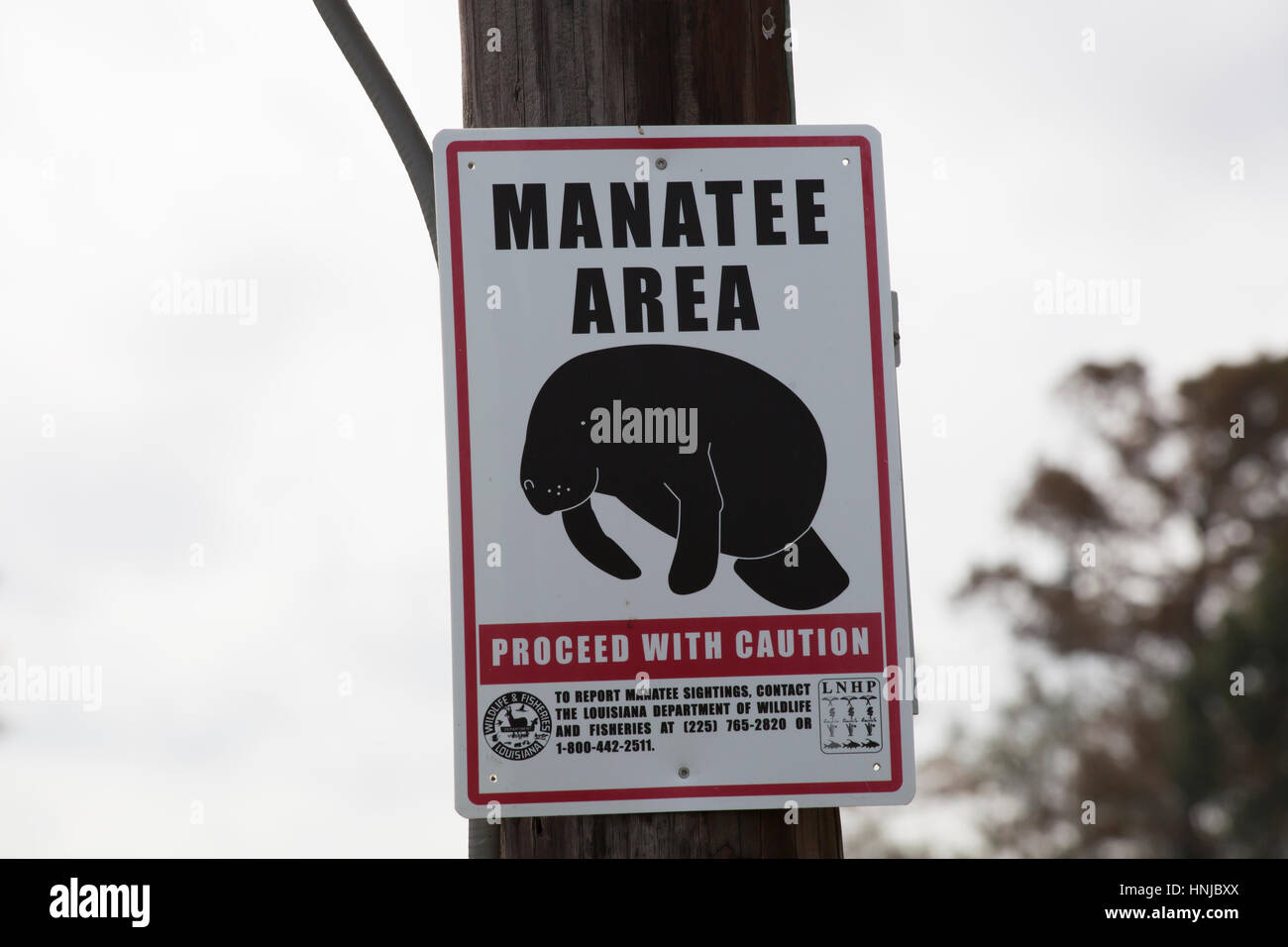 Caution manatee area sign hi-res stock photography and images - Alamy