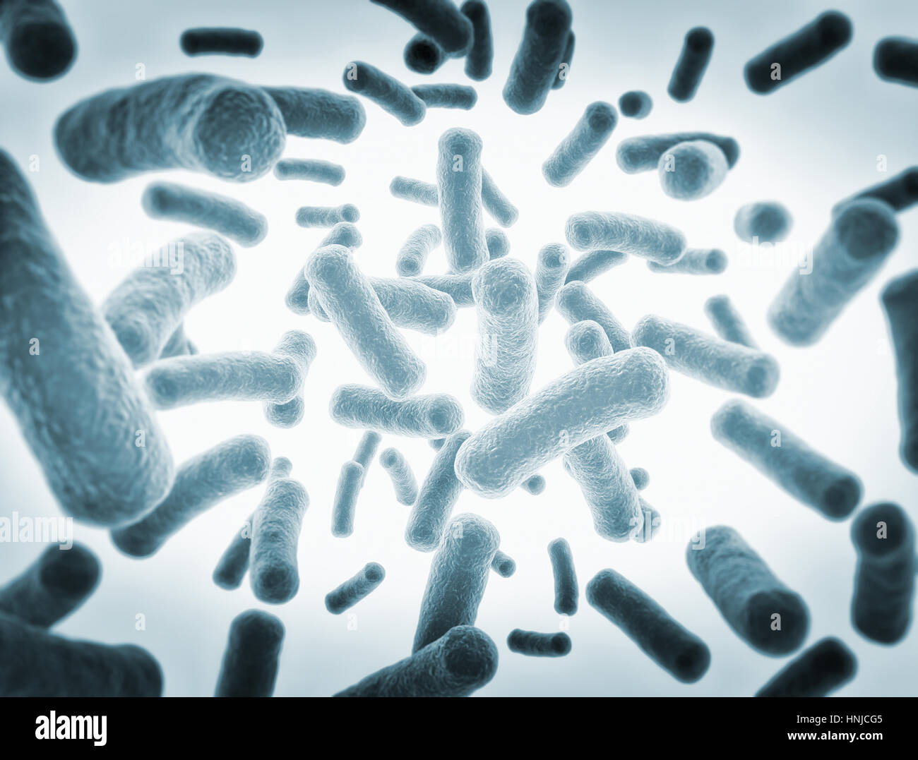 Bacteria cells high detailed illustration Stock Photo - Alamy