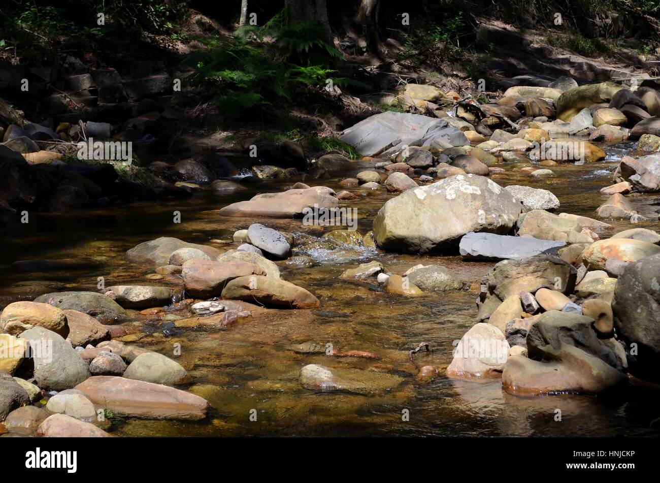 Sunlight on river rocks highlighting an array of tones and textures in ...