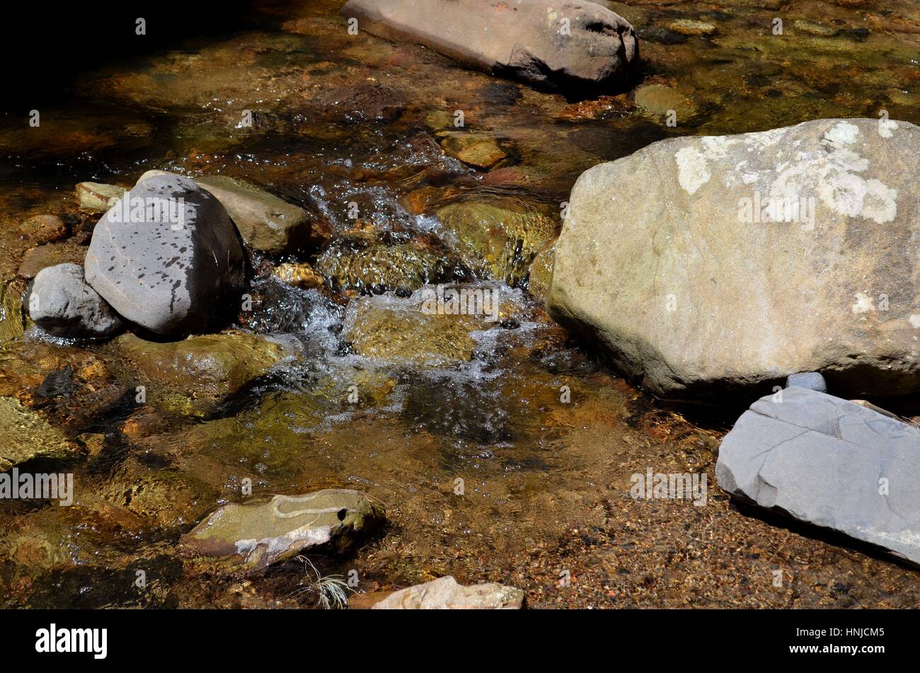 Sunlight on river rocks highlighting an array of tones and textures in ...