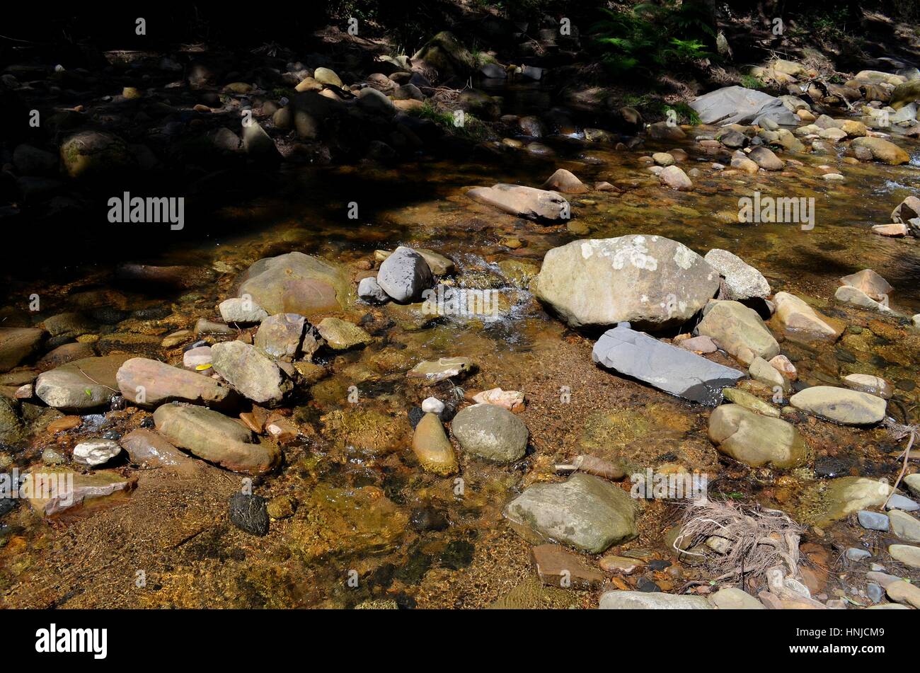 Sunlight on river rocks highlighting an array of tones and textures in ...