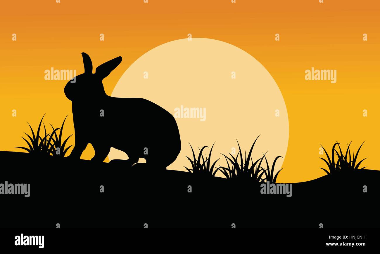 Silhouette of bunny and grass at sunset vector art Stock Vector Image ...