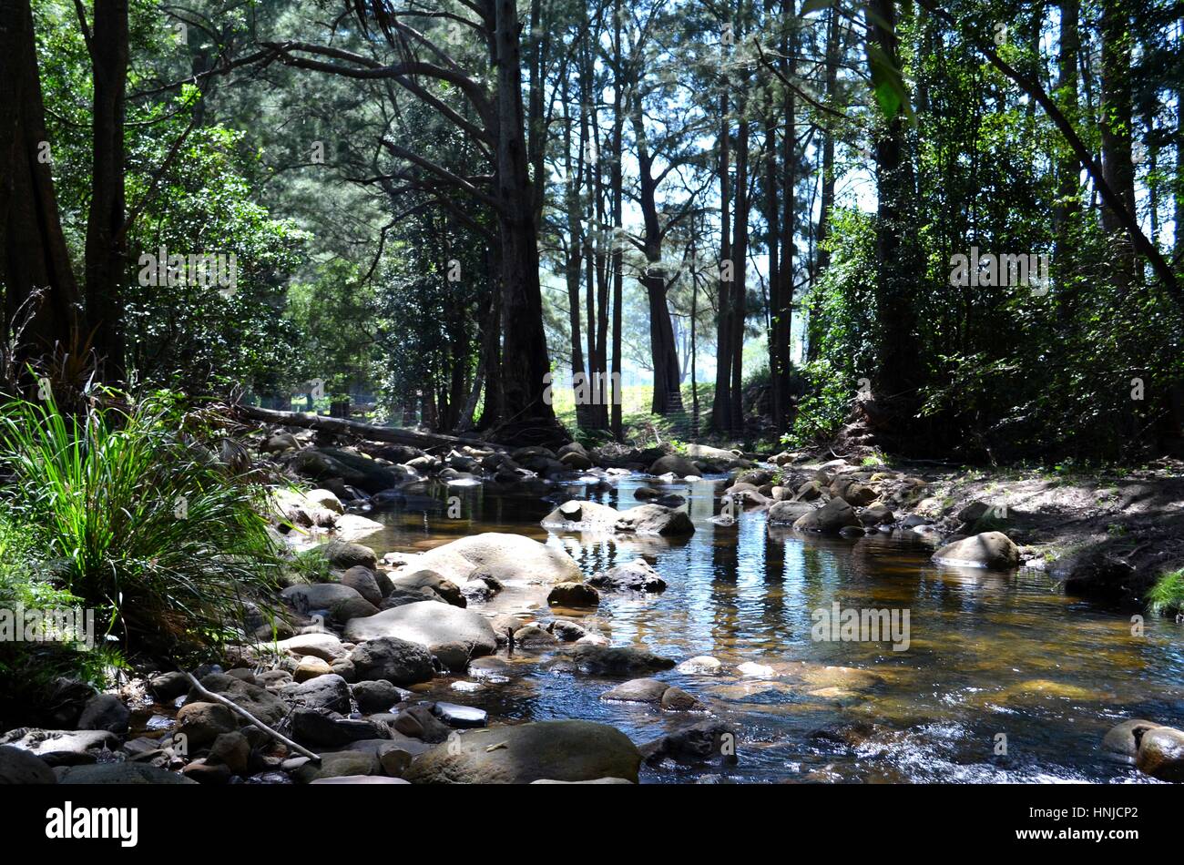 View down river of water, rocks, trees and reflections of all Stock ...