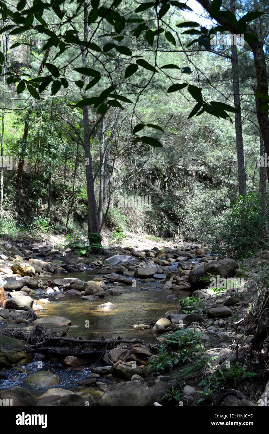 River in the Australian bush with river rocks Stock Photo - Alamy