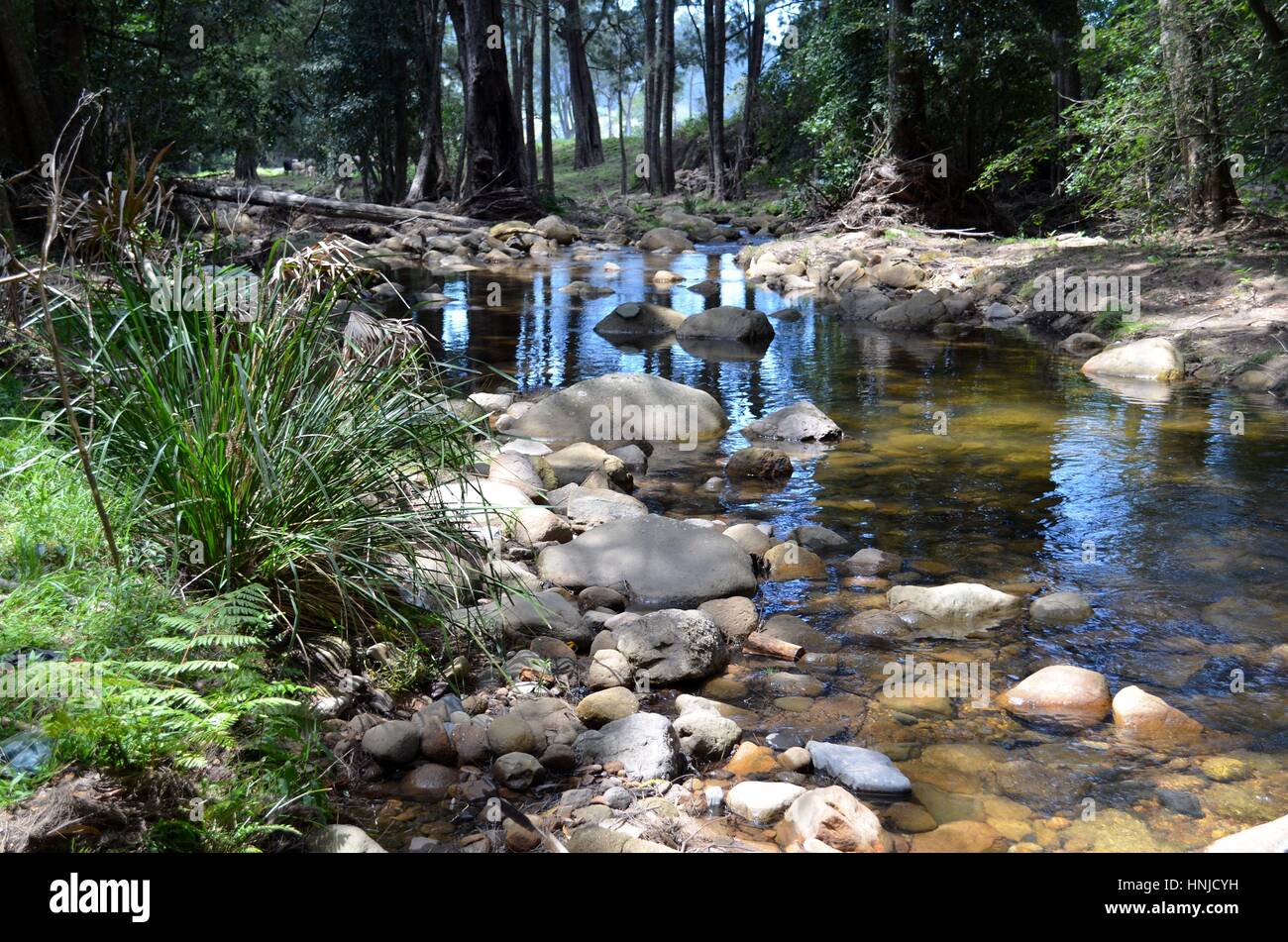 Reflections on the river Stock Photo - Alamy