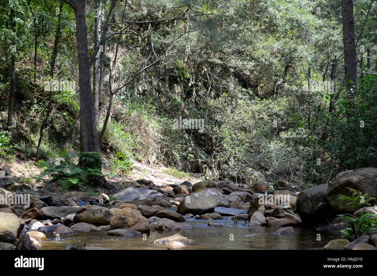 River in the Australian bush with river rocks Stock Photo - Alamy