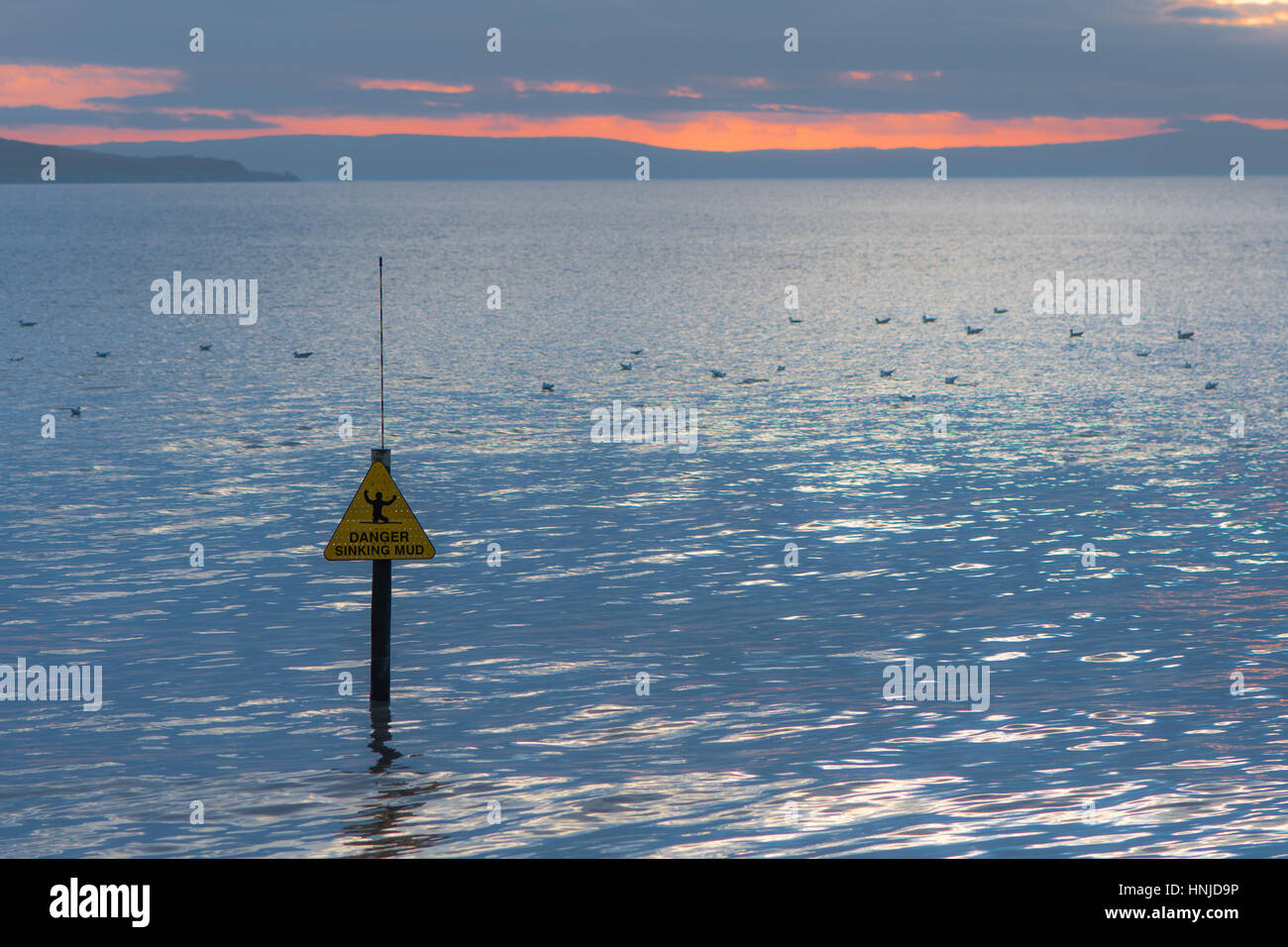Sinking in mud hi-res stock photography and images - Alamy