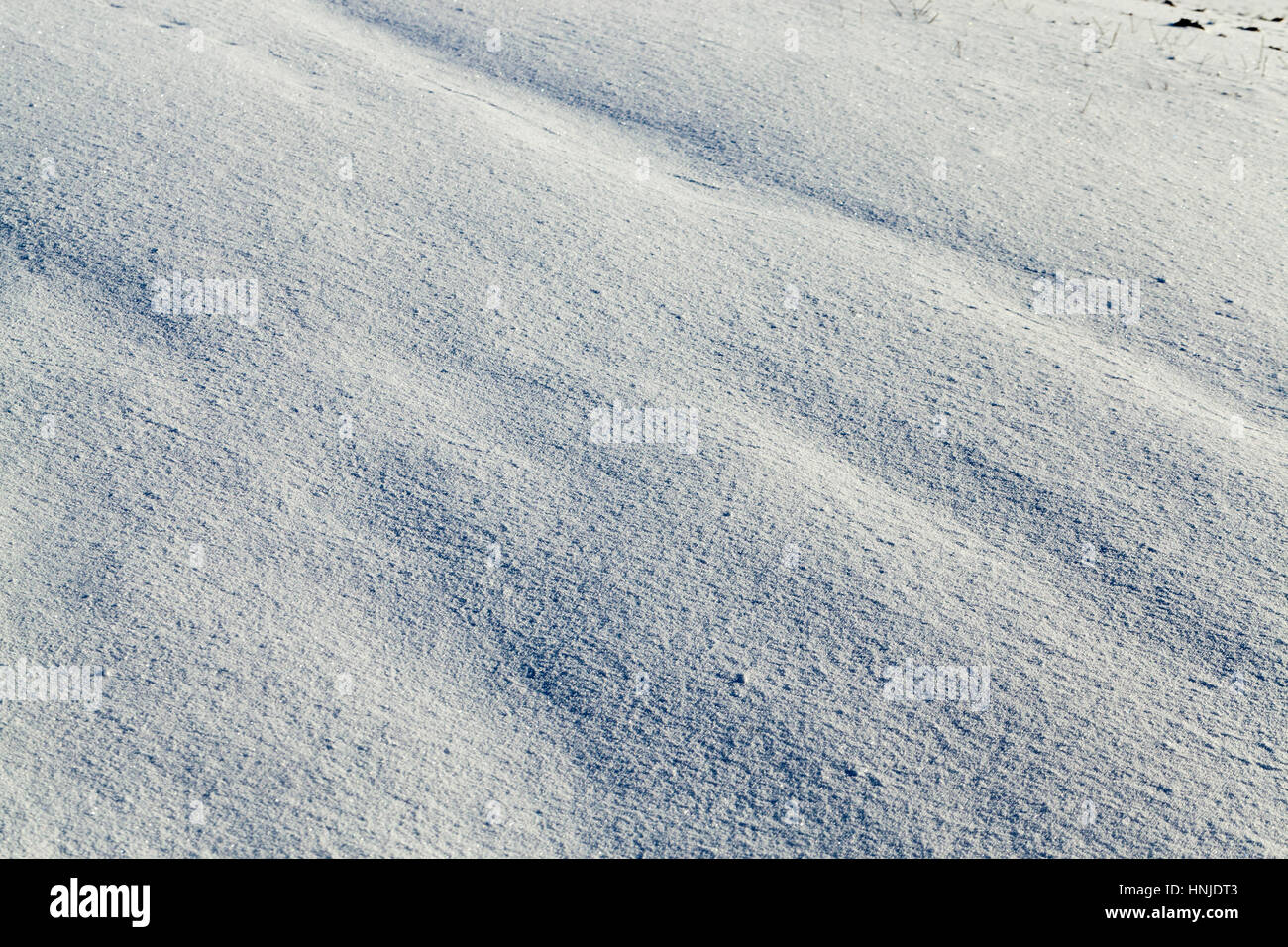 covered with white snow drifts surface. Photo closeup. On snow formed ...