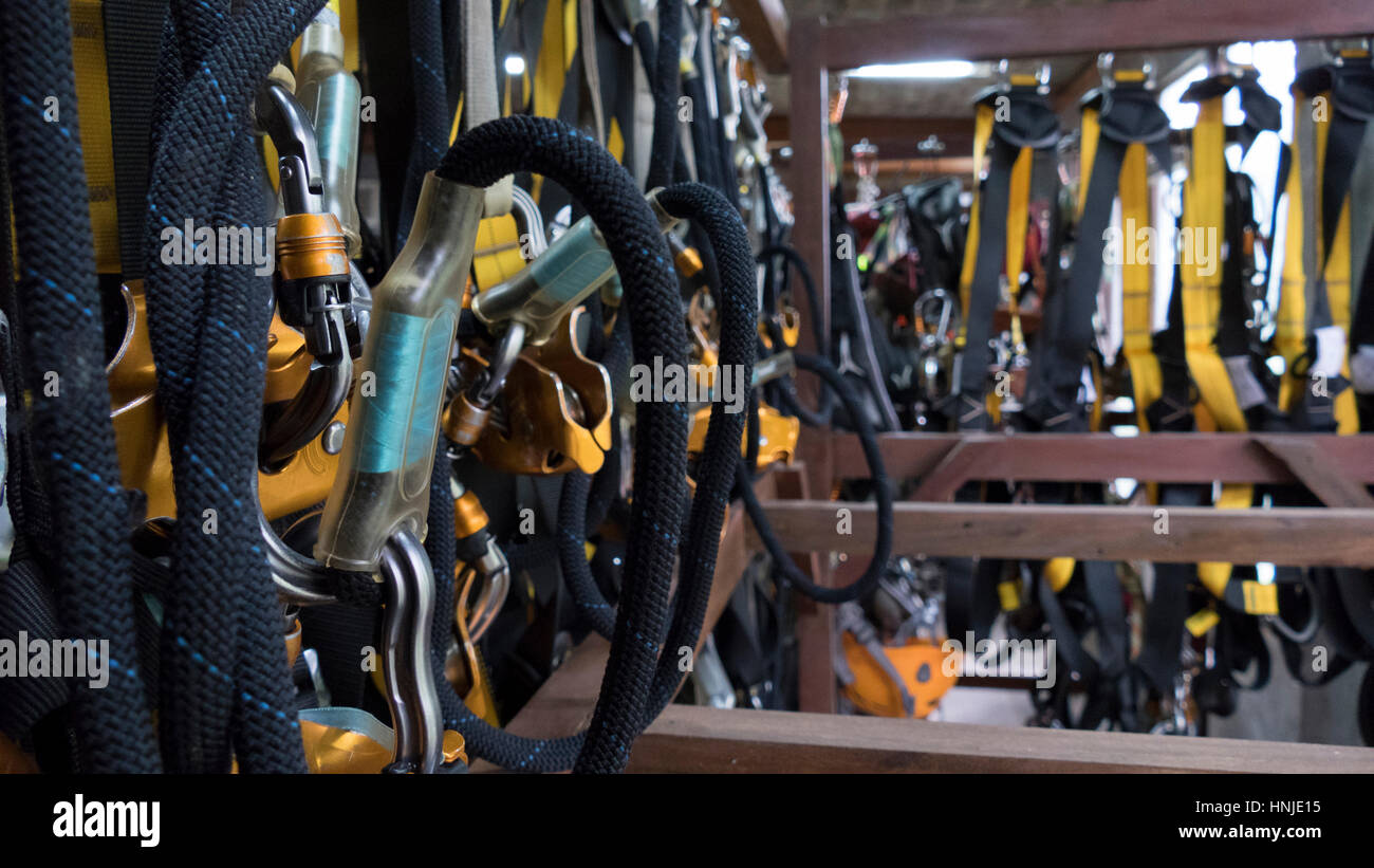 string belt safety harness for zipline activity Stock Photo - Alamy