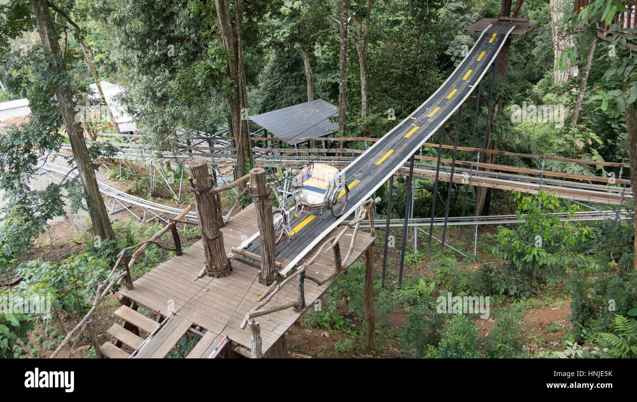 tricycle on wooden bridge in forest - adventure riding Stock Photo - Alamy