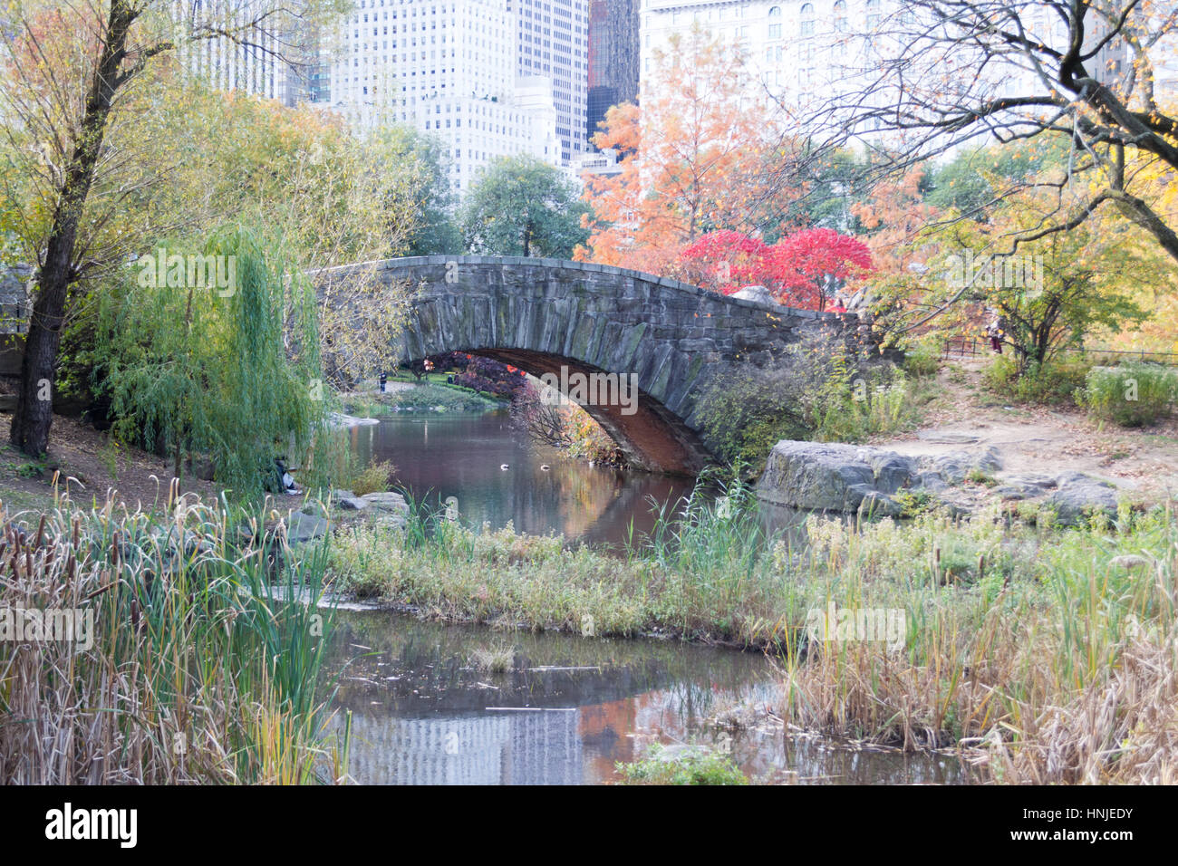 Gapstow bridge is the most iconic bridge of Central Park with fenomenal ...