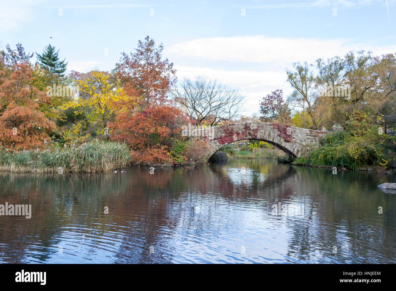 Gapstow bridge is the most iconic bridge of Central Park with fenomenal ...