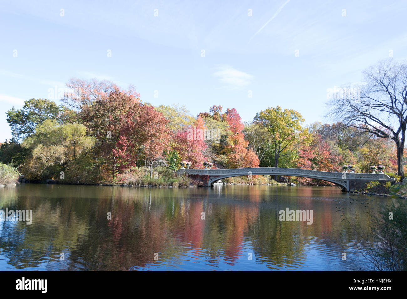 Bow bridge is the longest bridge in Central Park and its appearance ...