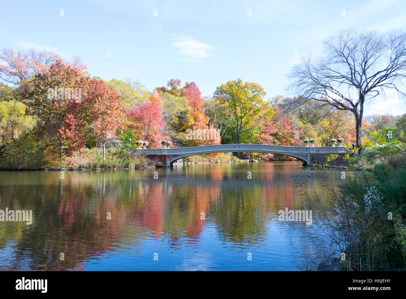 Bow bridge is the longest bridge in Central Park and its appearance ...