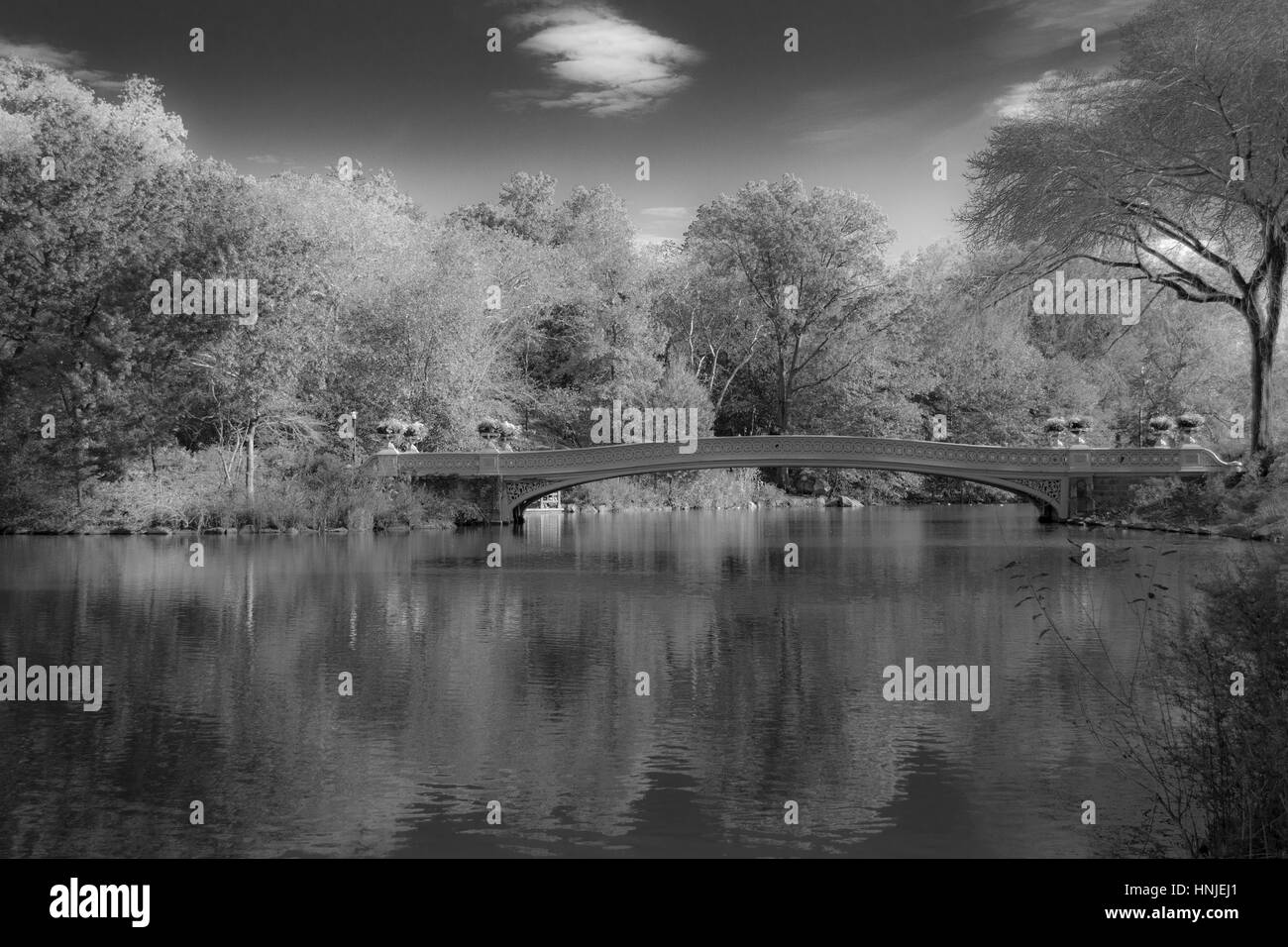 Bow bridge is the longest bridge in Central Park and its appearance ...