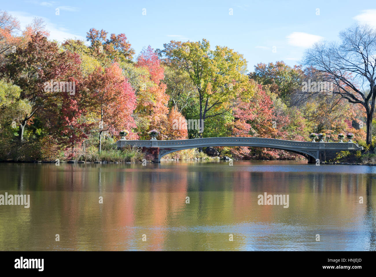 Bow bridge is the longest bridge in Central Park and its appearance ...