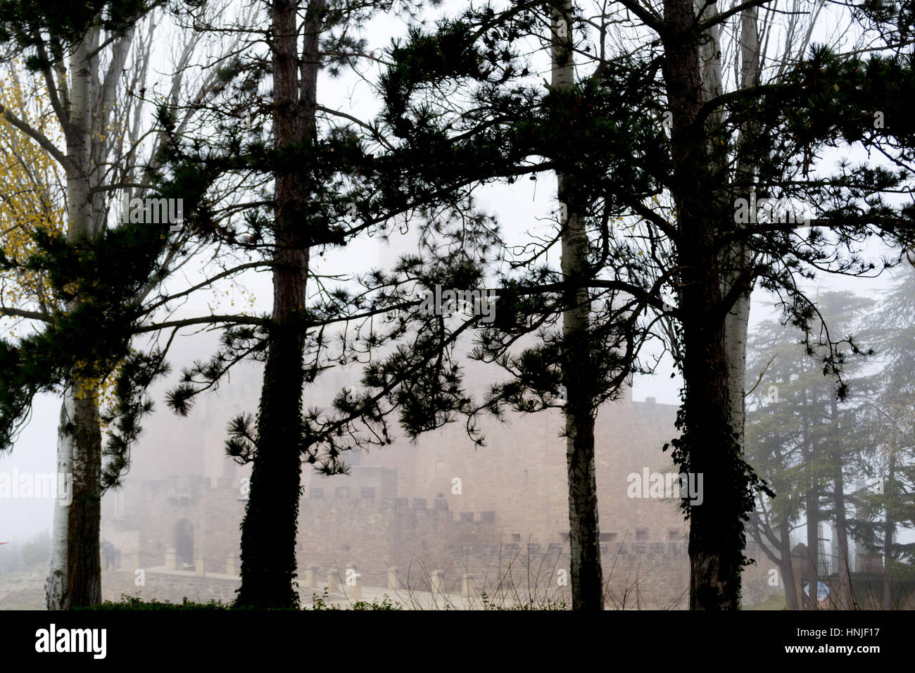 Castle of Xavier built in the 10th century, is one of the main ...