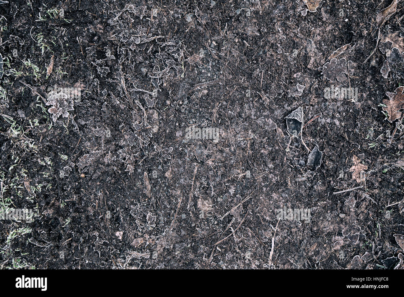 Frosty Dark Soil and Leaves Texture Stock Photo - Alamy