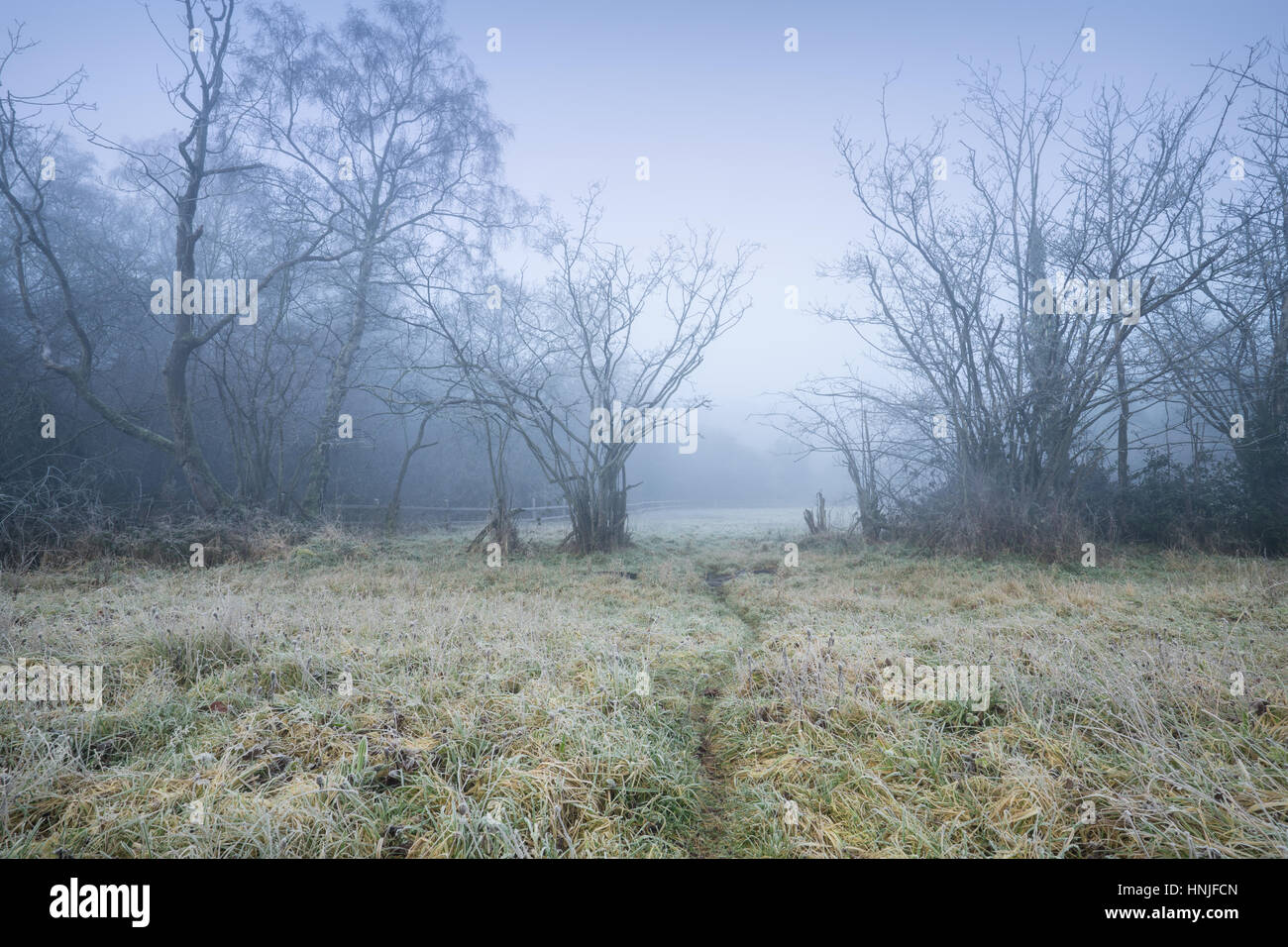Freezing Fog over British Countryside Stock Photo - Alamy